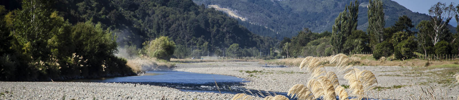 Upper Hutt, Tall Poppy